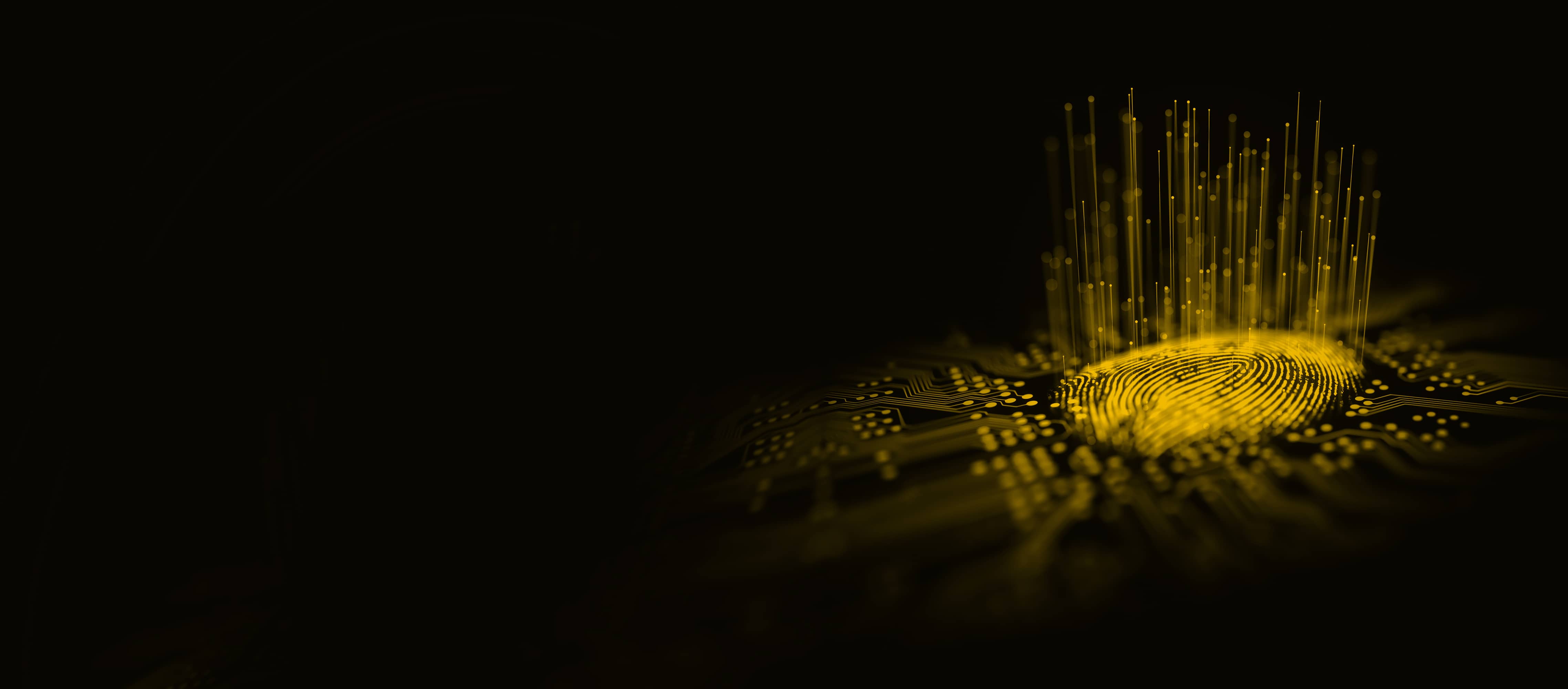 Your partner for business digitization | Impresoft Group